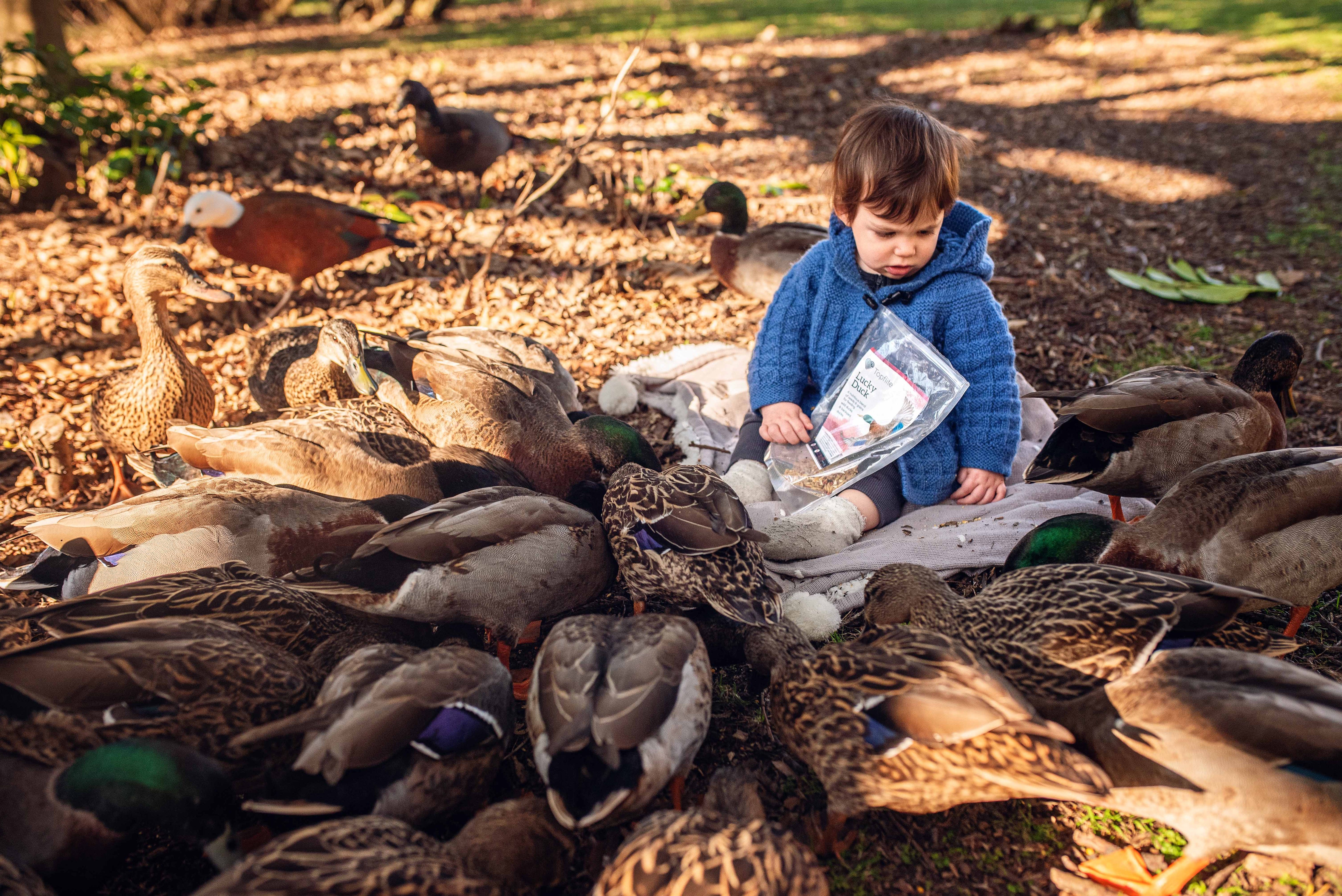 Lucky Duck | NZ Grown Duck-Specific Feed | Topflite - Topflite NZ